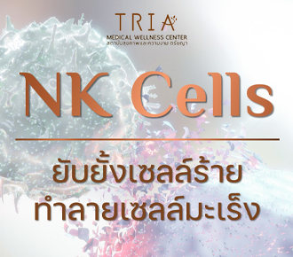 NK Cell