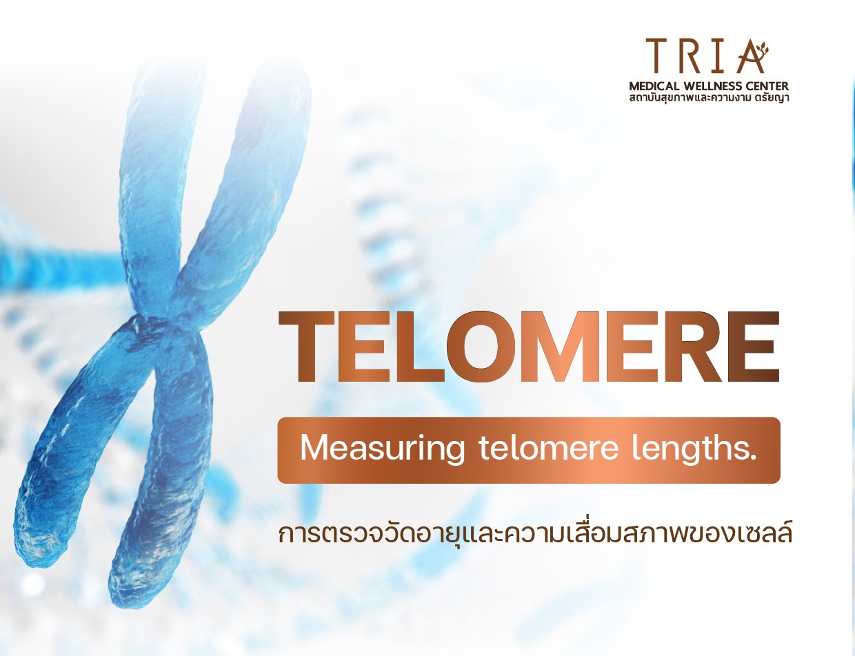 ไขกุญแจอายุ ด้วยการตรวจ Telomere