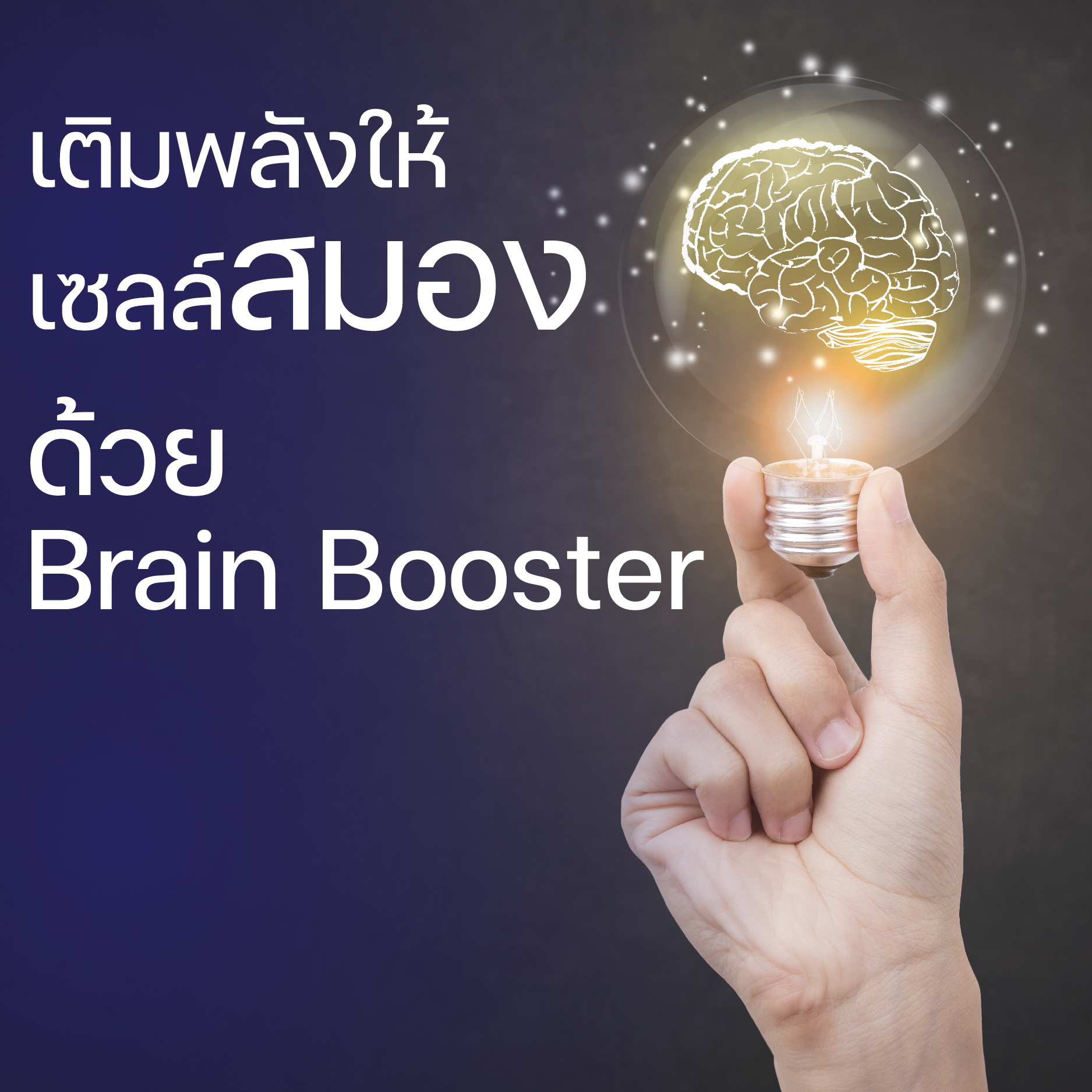 Brain Booster